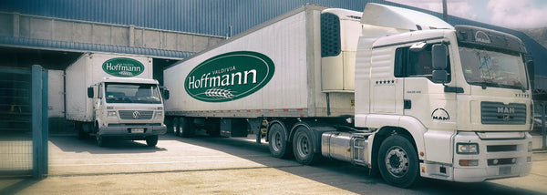 Nosotros – Hoffmann